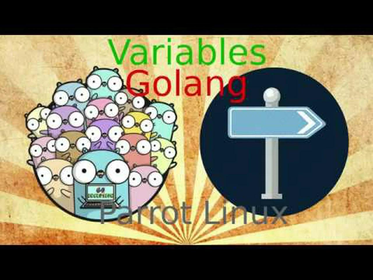 How to Set Go Variables (Quick Guide) with Terminal on Parrot Security ...
