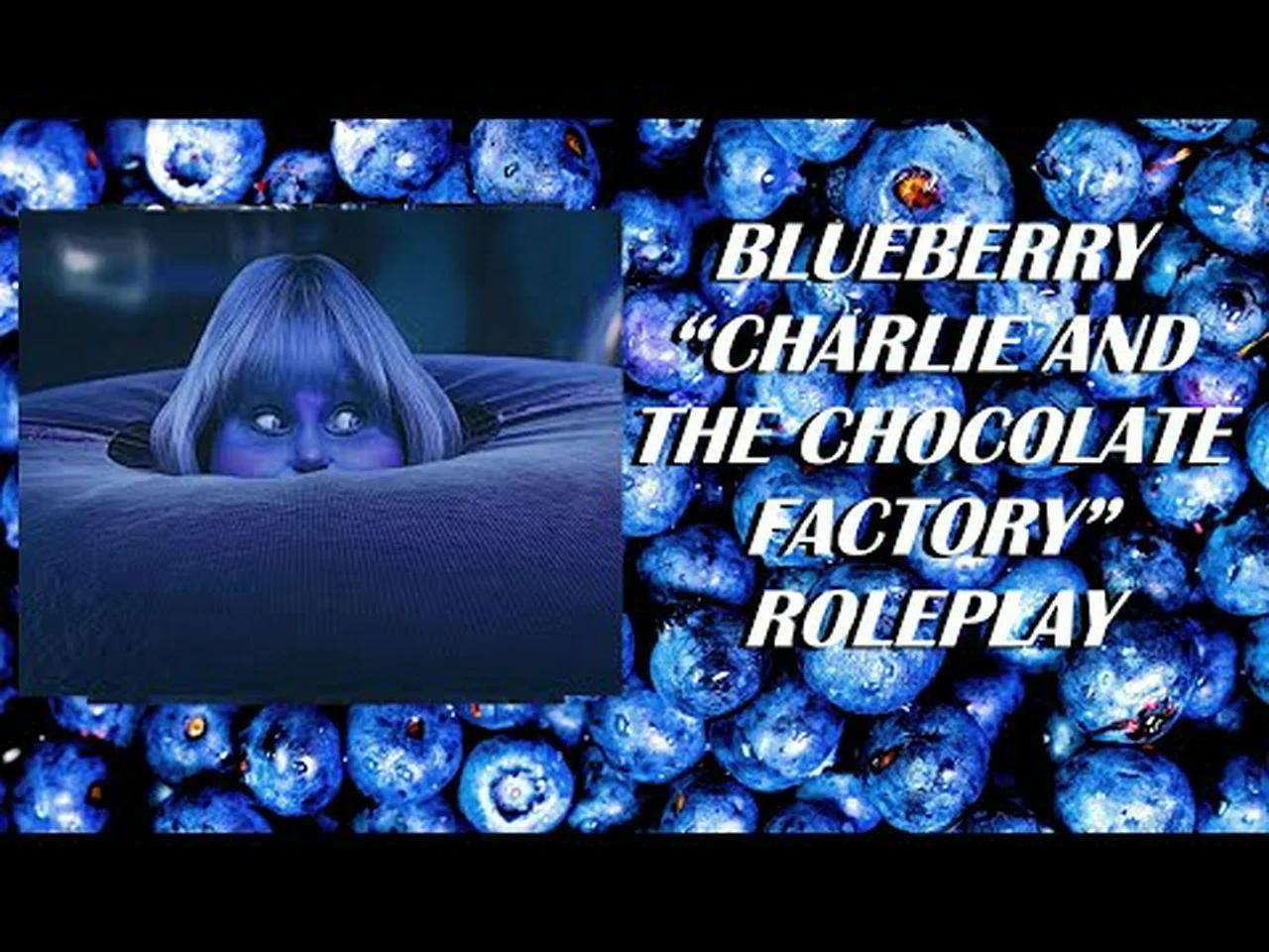 ASMR Blueberry "Charlie and the Chocolate Factory" Roleplay [REQUESTED]