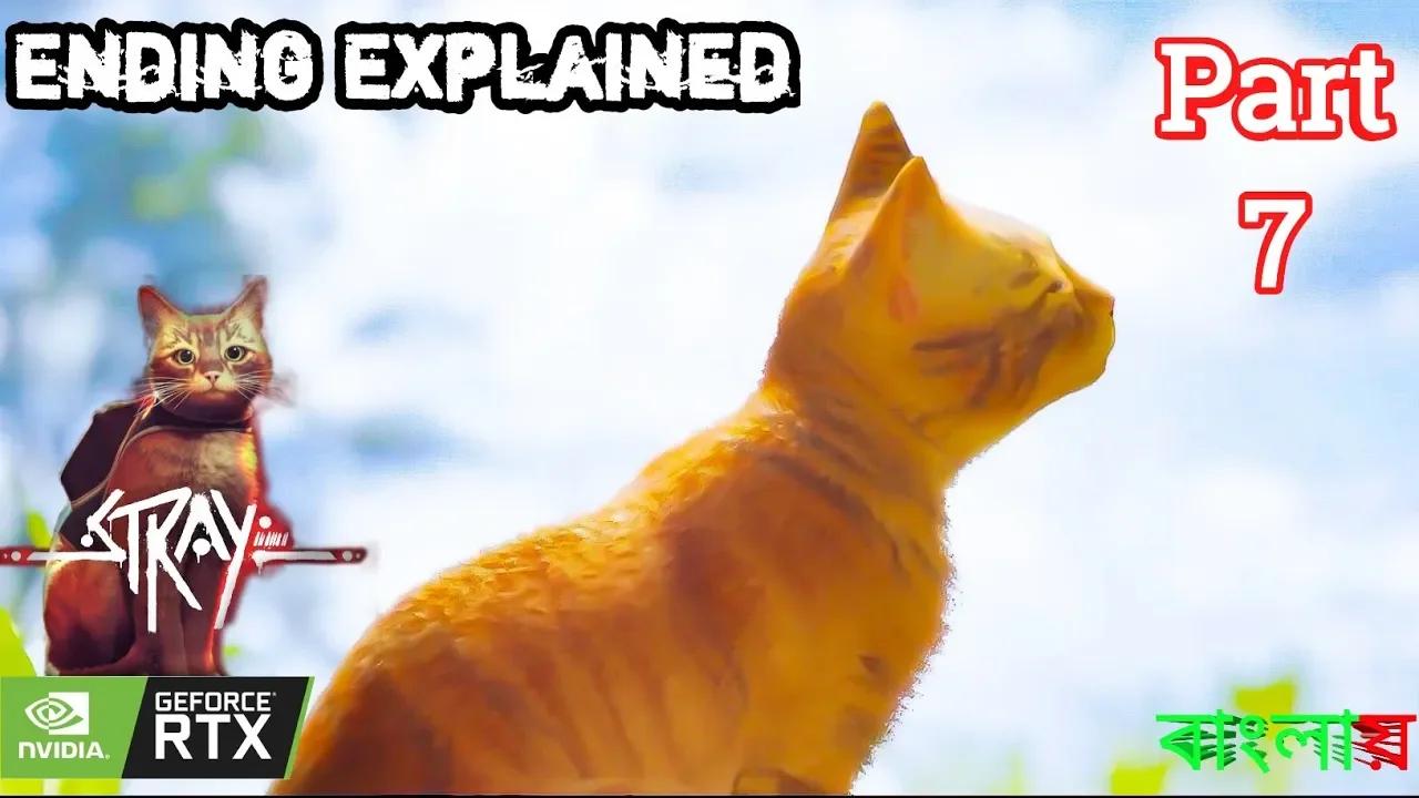 Stray Ending with Explanation in Ultra Graphics #7