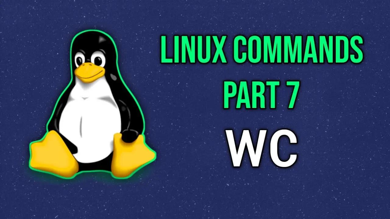 How to use the wc command | Linux commands part 7