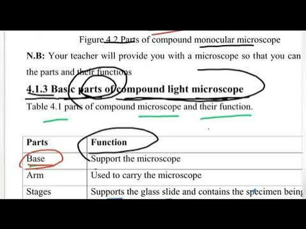 Basic Parts of Compound light microscope