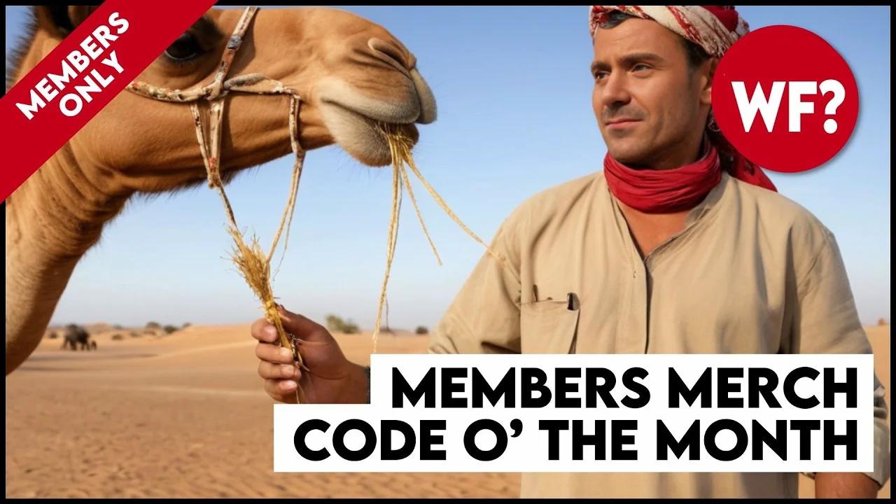 Merch Code o' the Month!