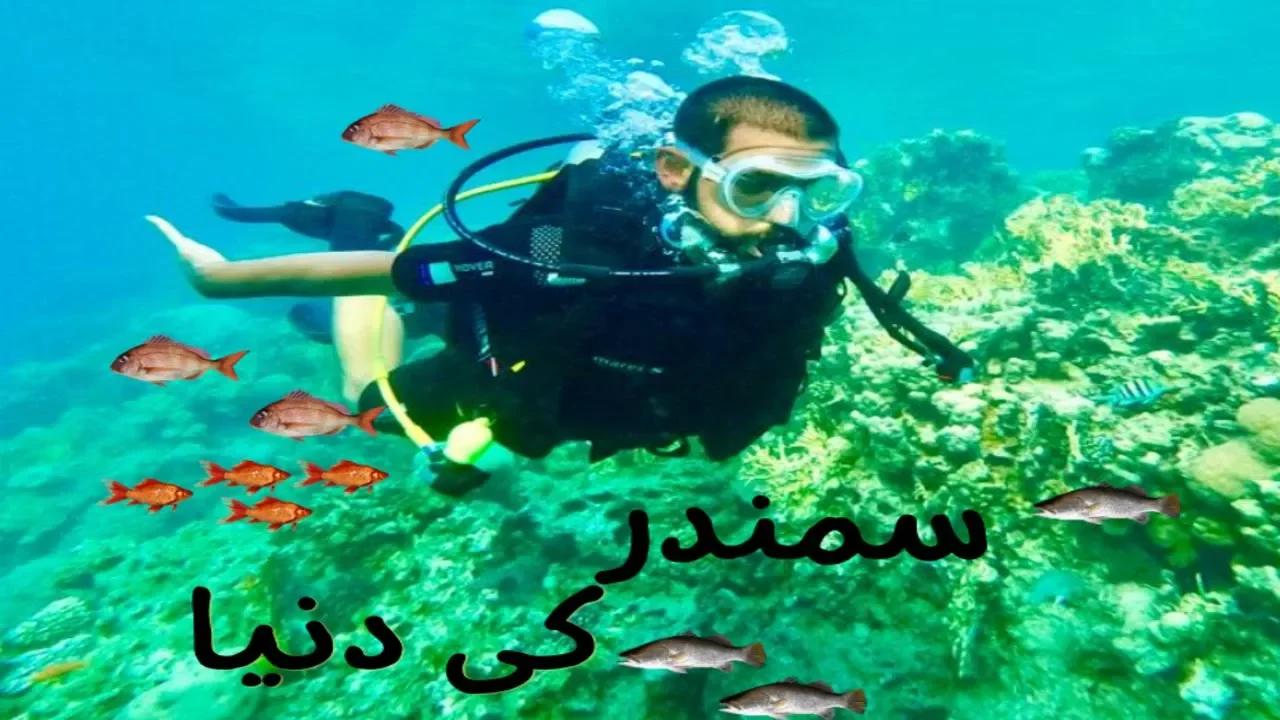 Scuba Diving in Aqaba and Touring Amman | Pakistan to Israel Travel Series