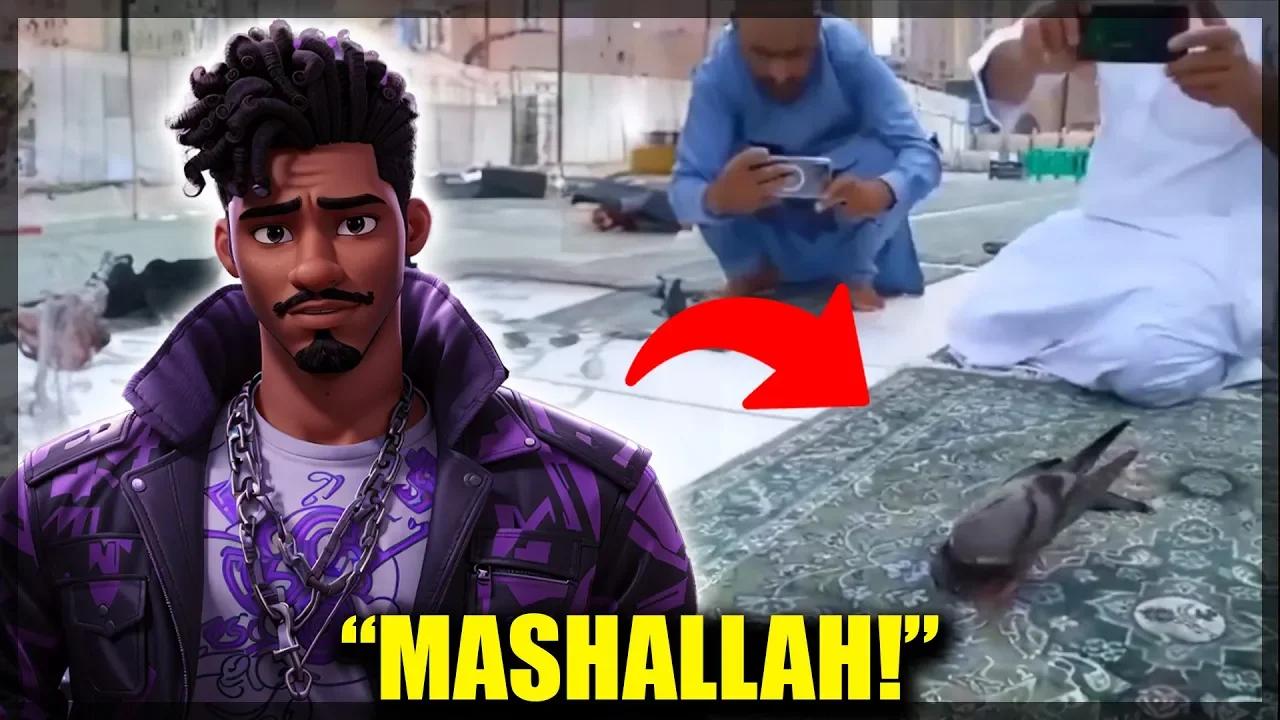 Pigeon Bowing Down in Mecca?! Muslims Take This Sick Bird as Proof of ...