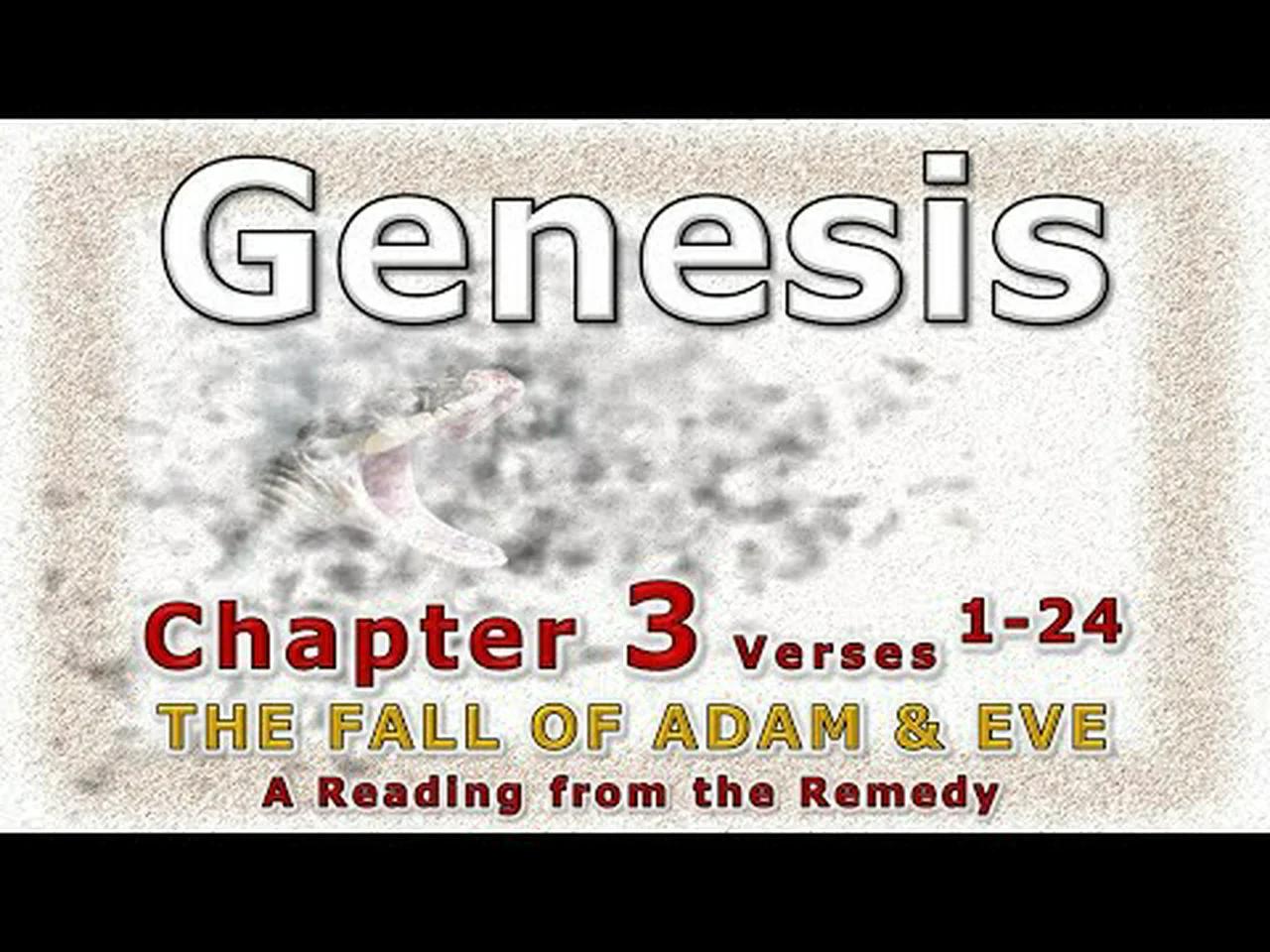 GENESIS Chapter 3 the Remedy - the fall of Adam and Eve