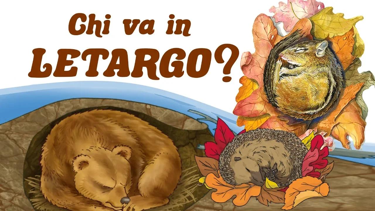 🦔🐻🦡 Cos'è il LETARGO? 😴 Quali ANIMALI vanno in LETARGO? E chi sono i ...
