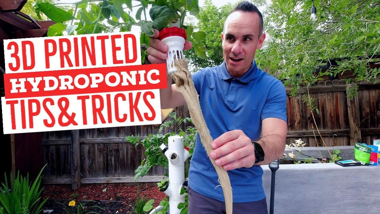 3D Printed hydroponic garden: one month update