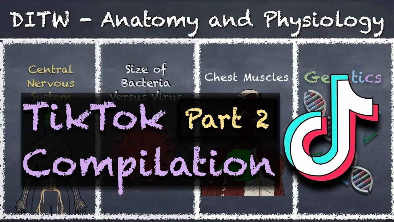 Tiktok Compilation Ditw Anatomy And Physiology Part 2