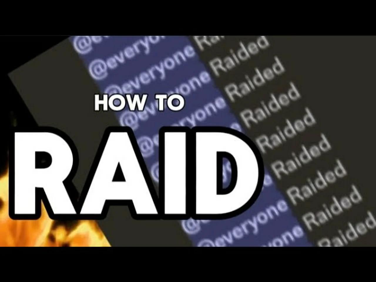 How To Raid Episode 1 - Types of Raids