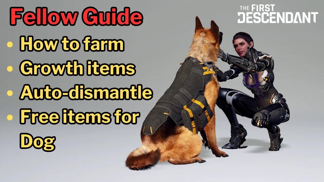 First Descendant - Complete Guide to Fellow - Farming, How Level ...