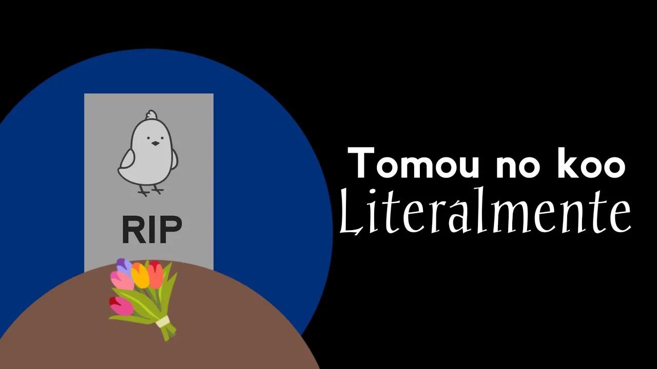 O koo está fechando! Do sucesso à futura falência