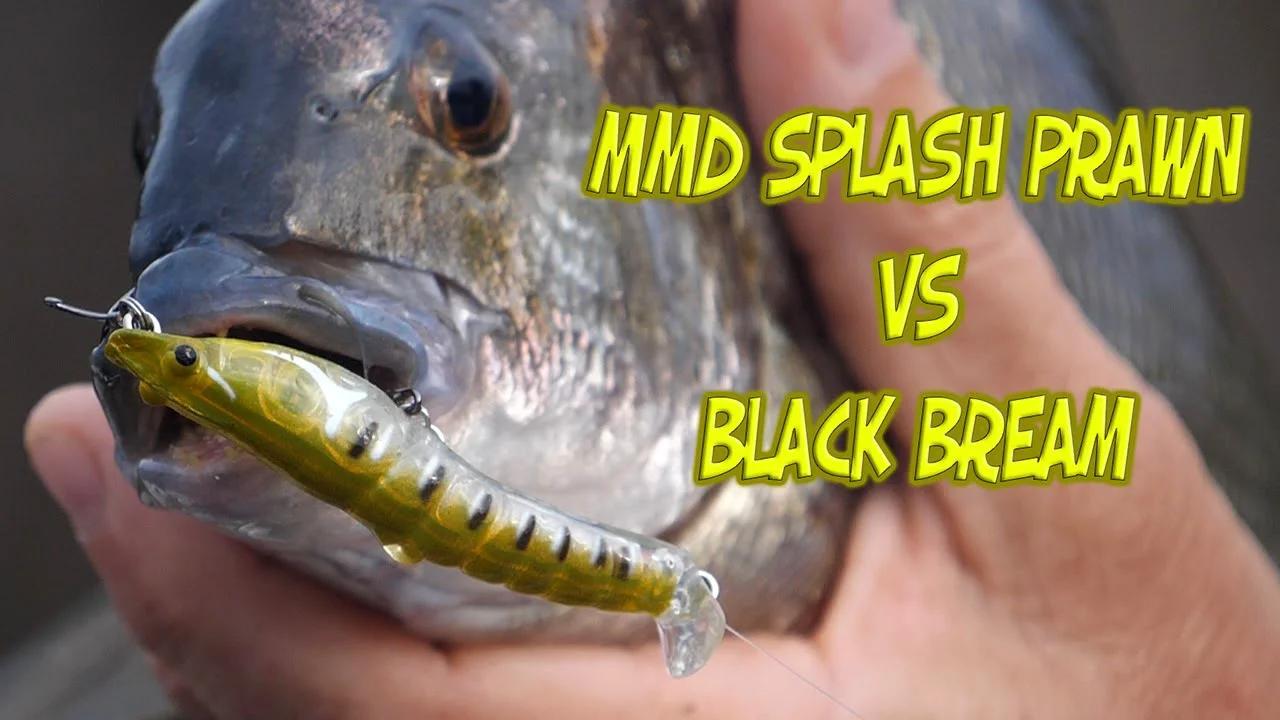 MMD Splash Prawn VS Black Bream