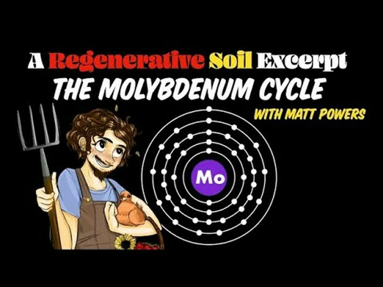 Plant Essential Elements Molybdenum Cycle A Regenerative Soil