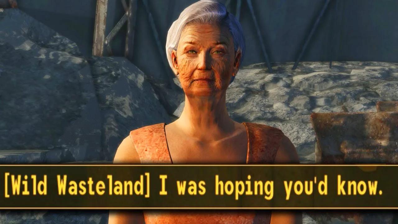 Every Wild Wasteland Encounter in Fallout