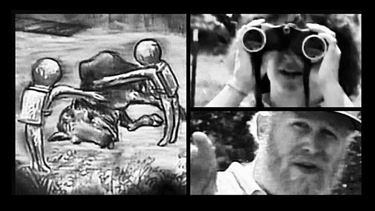 Eyewitnesses talk about observing a landed UFO and aliens in a field ...