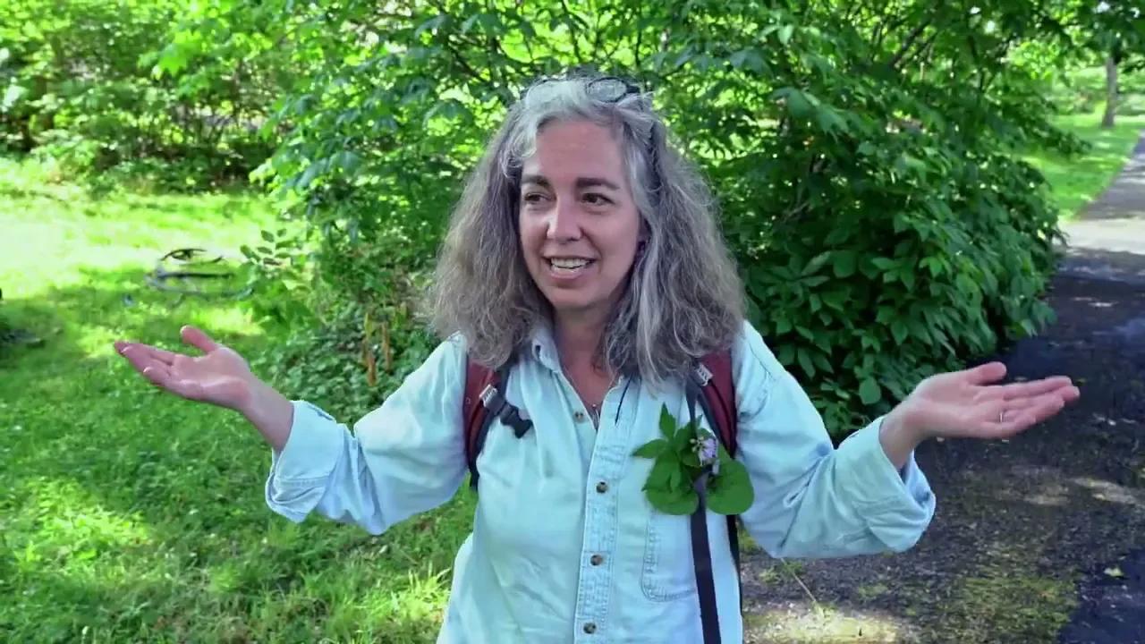 A Walk Through Bartram s Garden with Alison Hawver McDowell