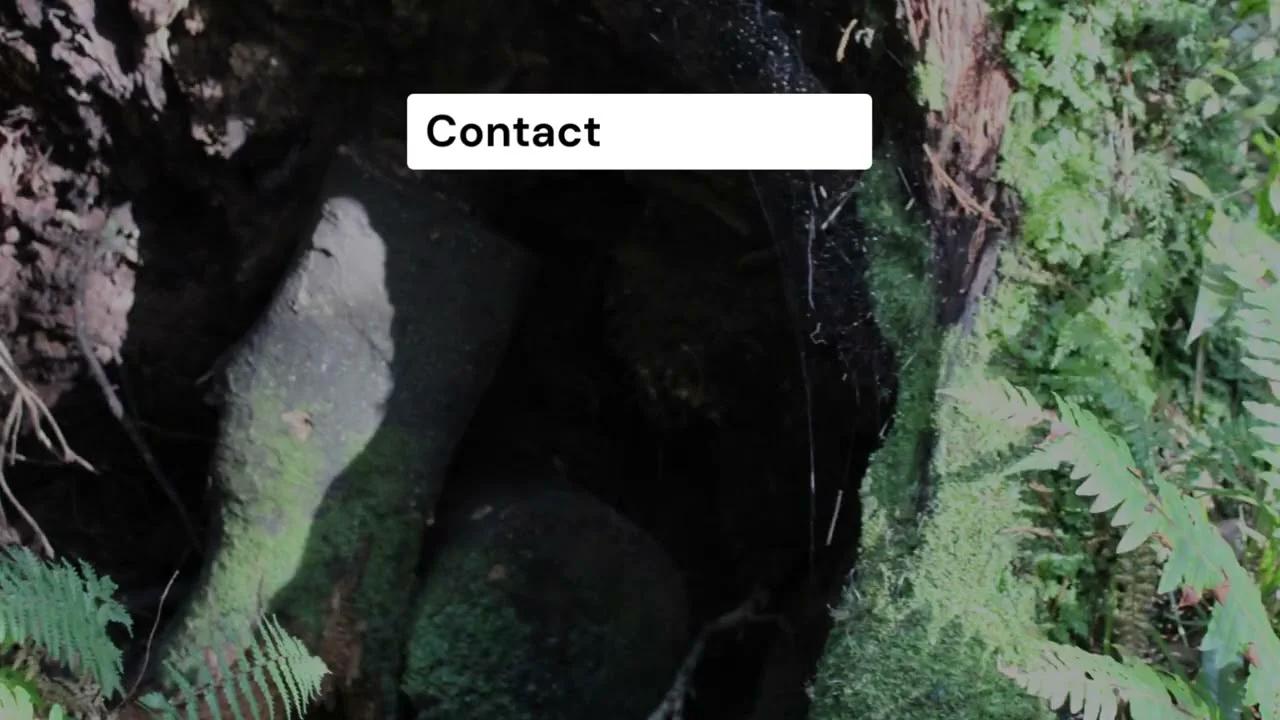 Jacob Wilkinson Hall Photography 📸