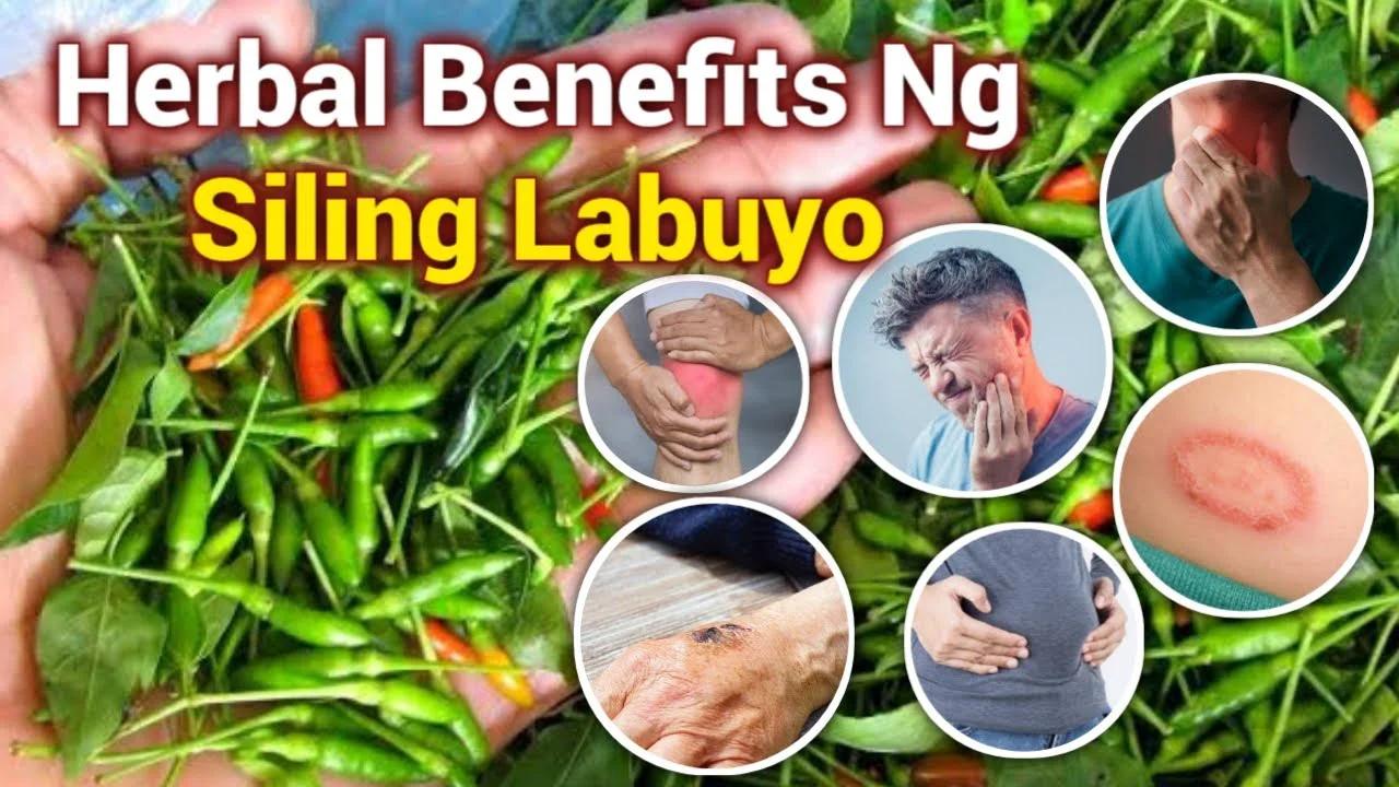 Herbal Benefits Ng Siling Labuyo | Halamang Gamot ATBP 121