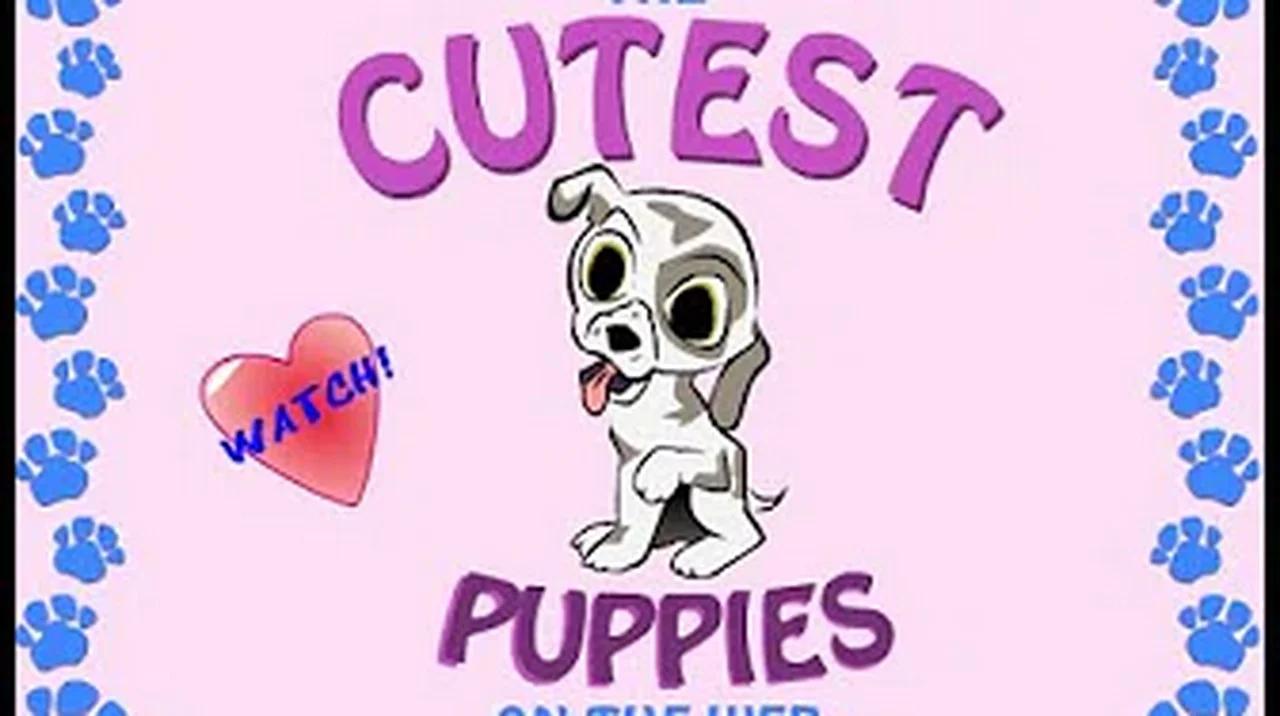 Liquid Generation: The Cutest Puppies on the Web