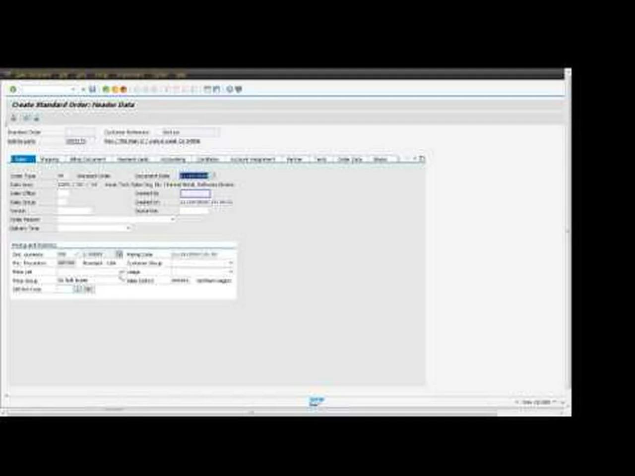SAP S/4 HANA Sales Order Header tab Sales View