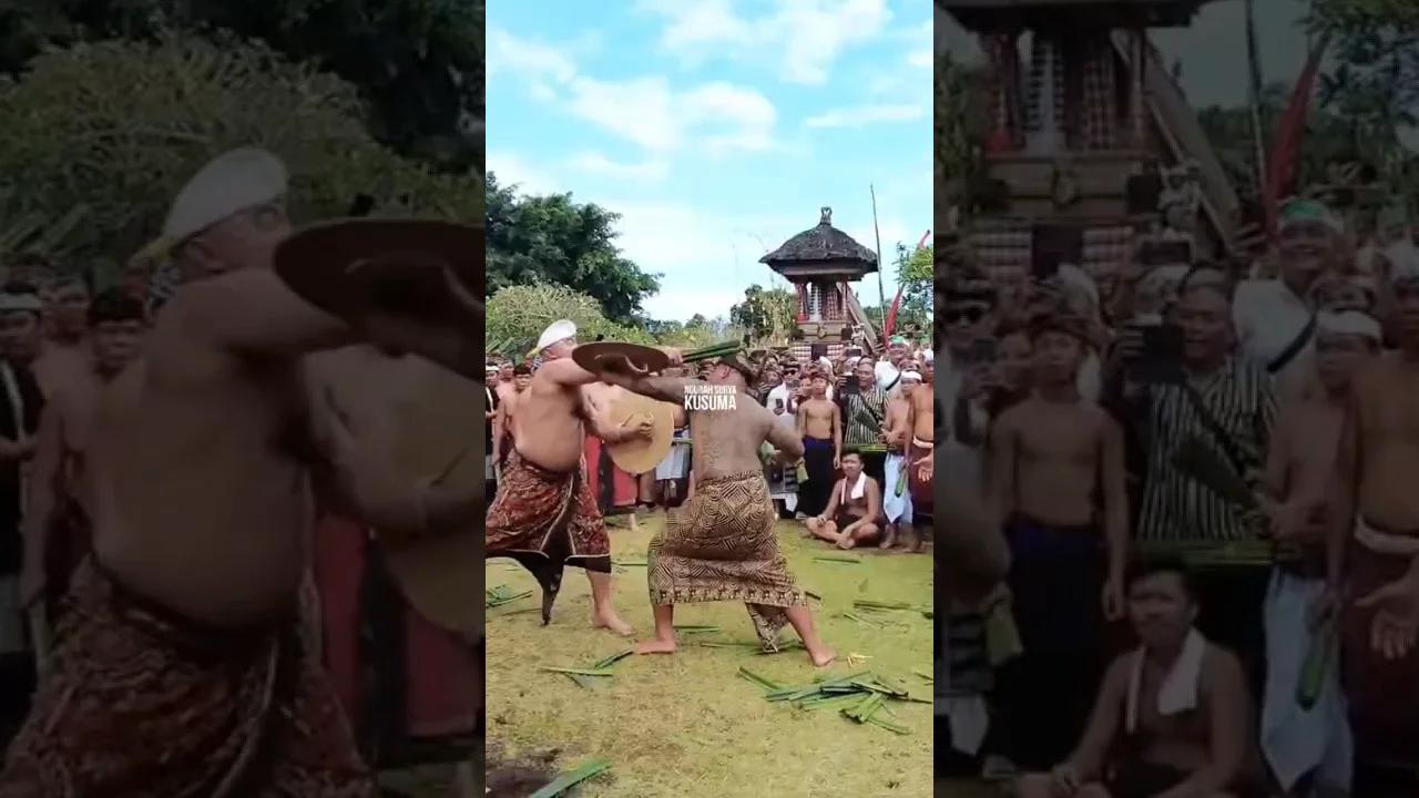 Perang Pandan Tenganan Dauh Tukad #PerangPandan #TengananDauhTukad #Bali