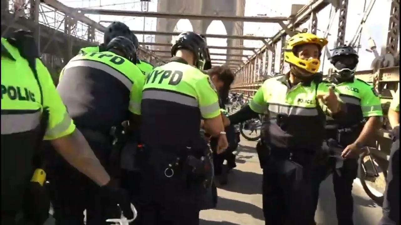 Pro-palestine protesters SHUT DOWN Brooklyn Bridge in Nationwide Action ...