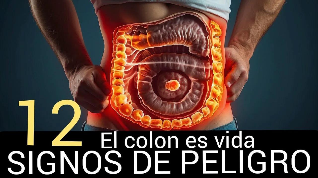 ¡EL COLON PUEDE ESTAR EN PELIGRO! 12 Signos de que tu Colon Necesita ...