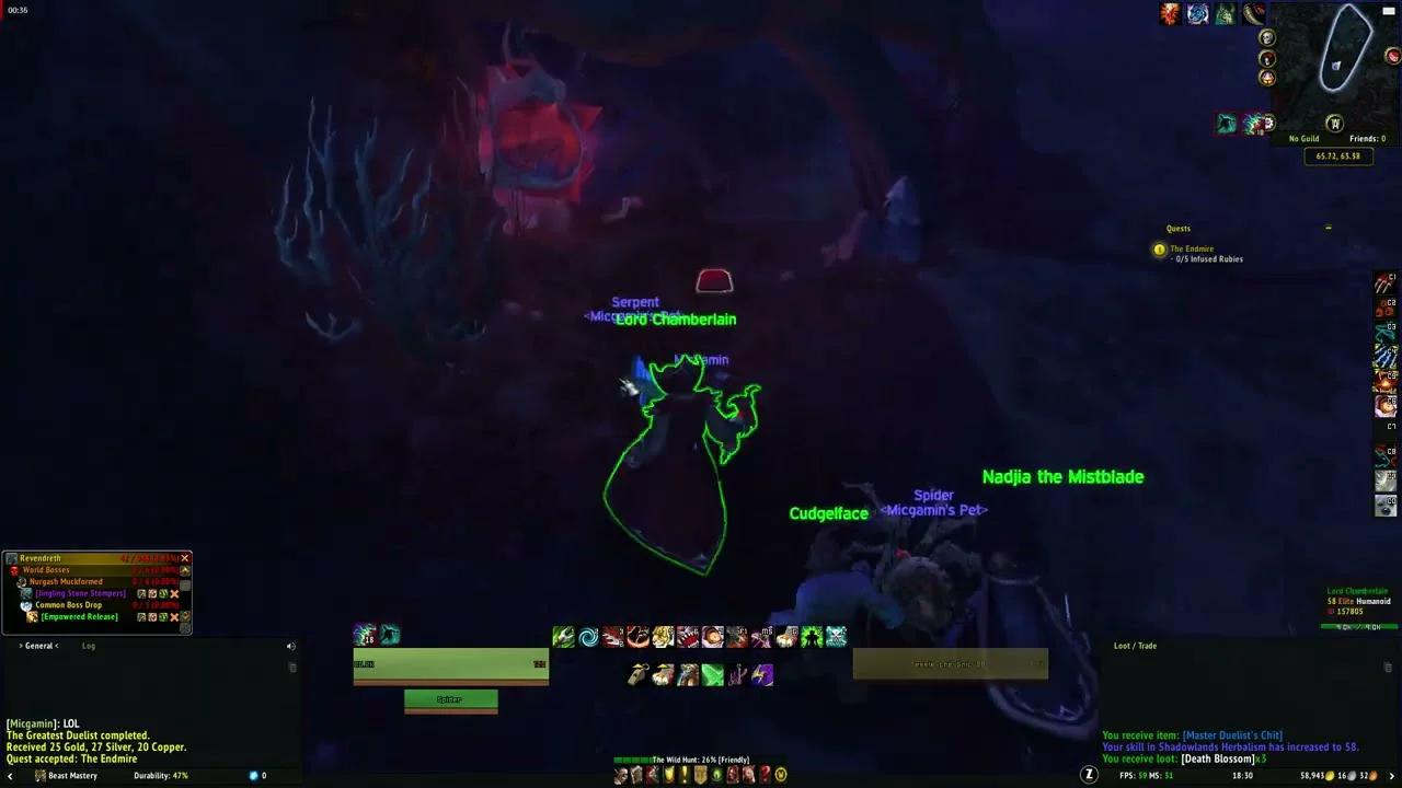 The Endmire World of Warcraft Shadowlands