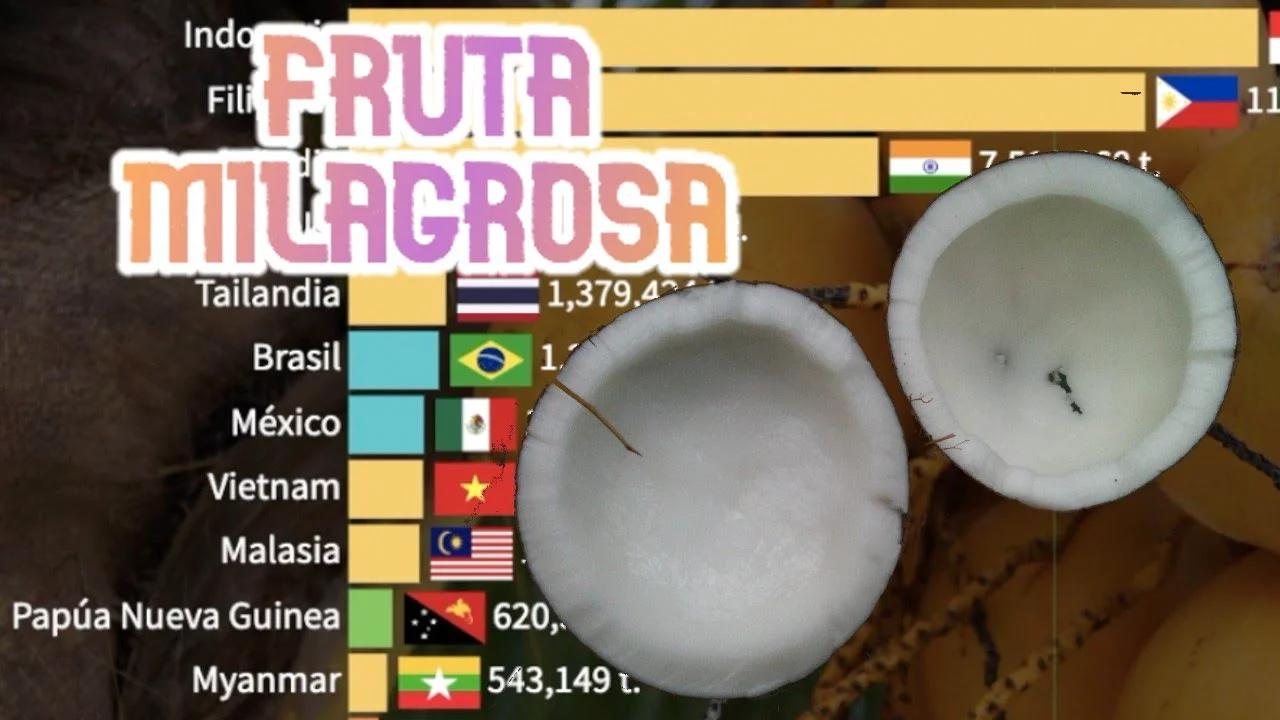 El coco: la fruta milagrosa. Conoce sus propiedades, beneficios y los ...