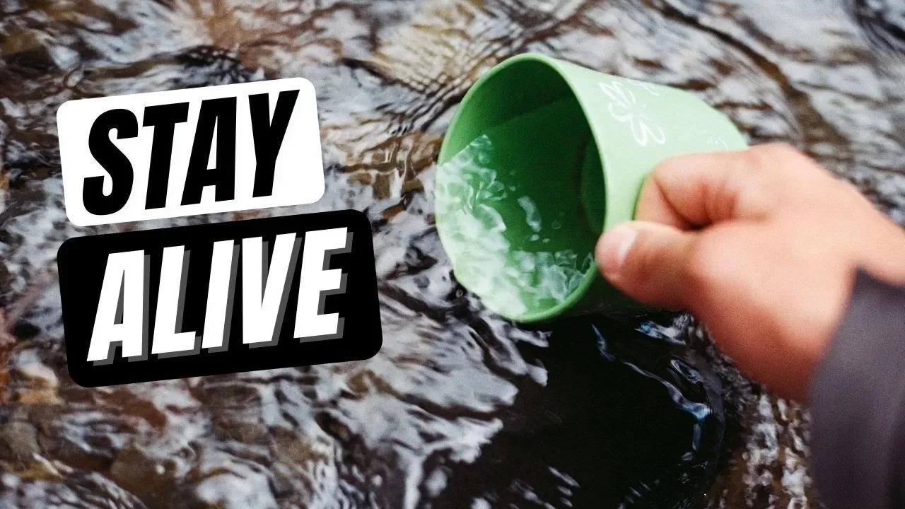 Basic Wilderness Survival Skills You Should Know