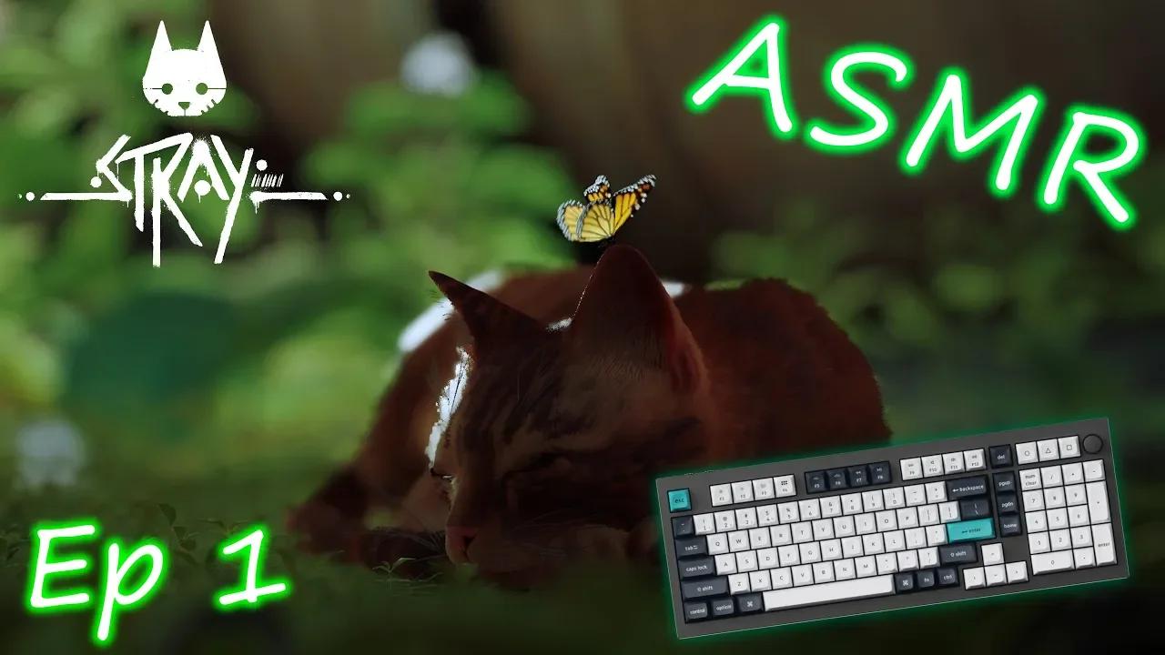 ASMR Gaming | Stray 🐈Ep1 | Clicky Mouse & Keyboard Sounds | Soft ...