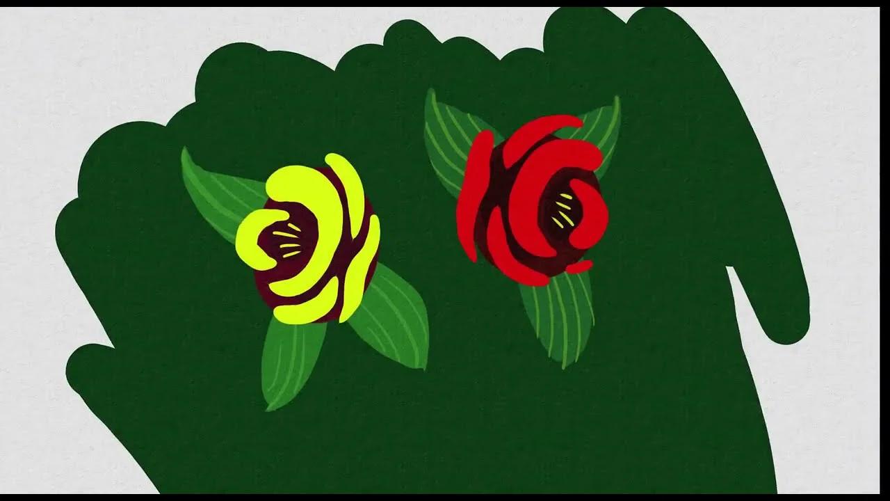 10 canal roses