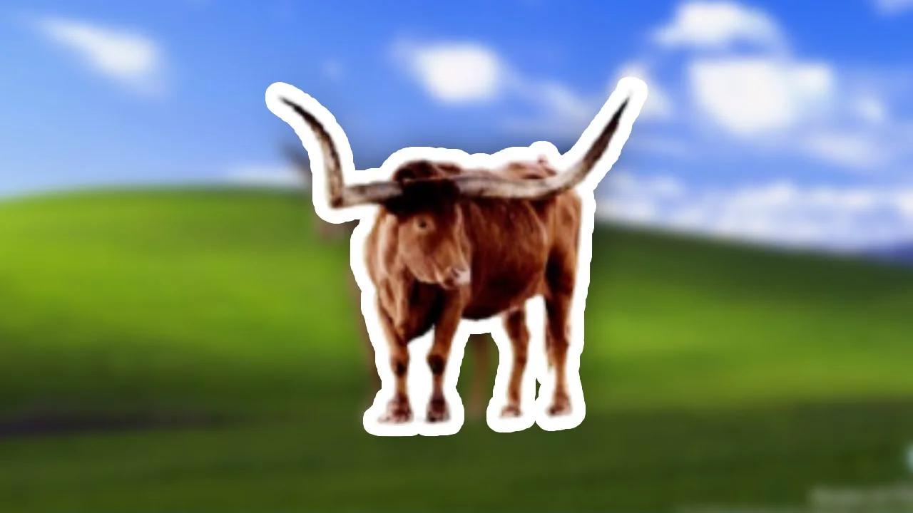 Windows Longhorn build 5001