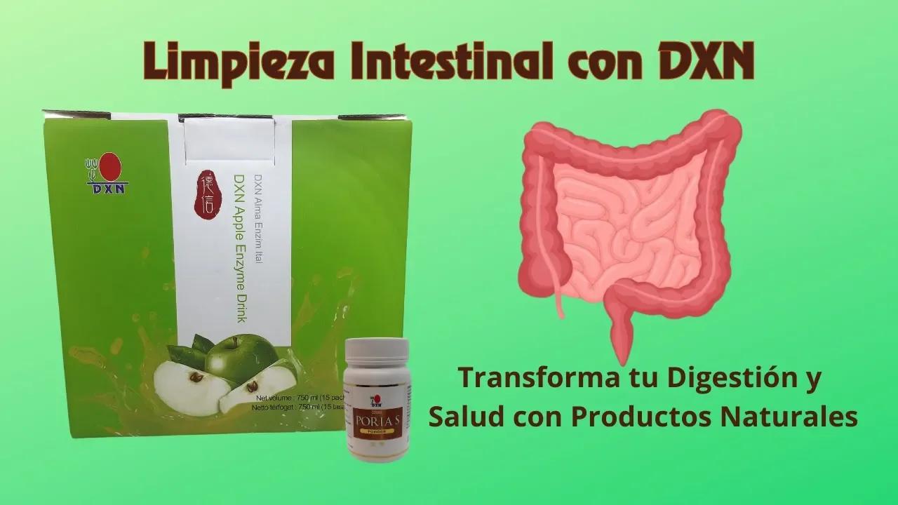 Limpieza Intestinal con DXN: Transforma tu Digestión y Salud con ...