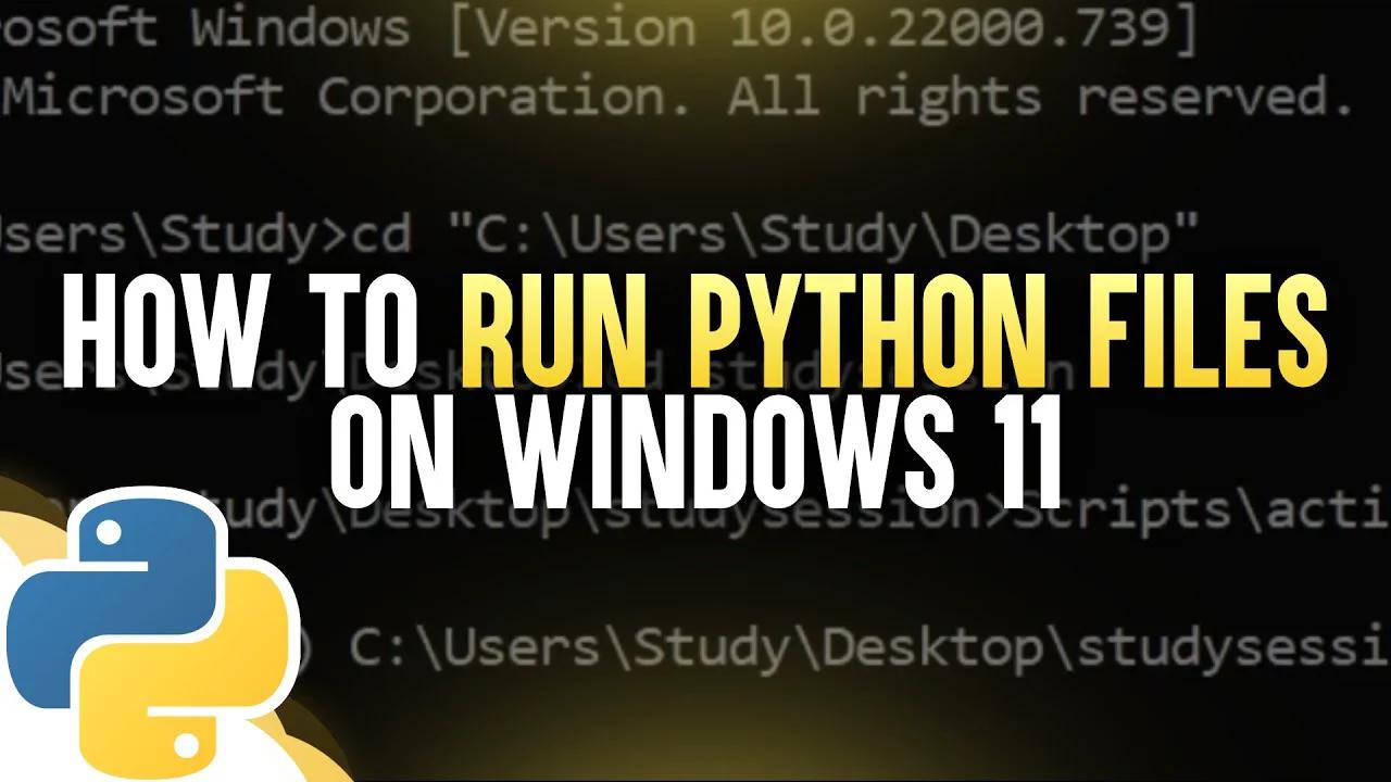 How To Run Python Files On Windows 11 Run Py Files On Windows 11 5409