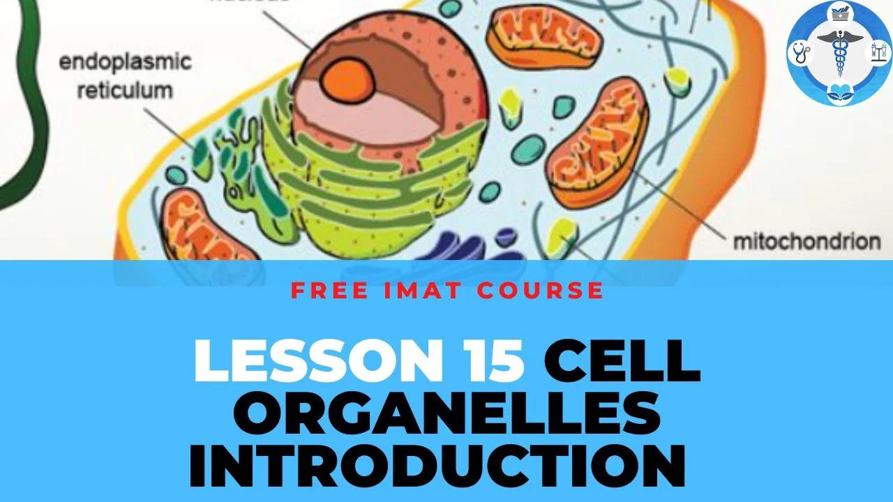 Biology | Cells | Organelles Introduction | IMAT | EnterMedSchool (OLD)