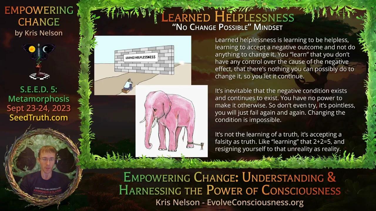 Empowering Change - Understanding and Harnessing the Power of Consciousness