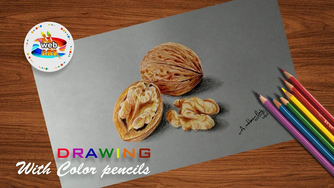 How To Draw a Walnut |easy Nuts Drawing |3D drawing walnut.