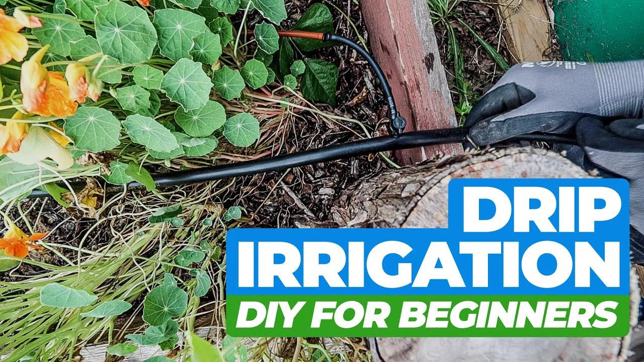 How to Install Drip Irrigation for Your Garden and Container Plants (DIY STEP BY STEP)