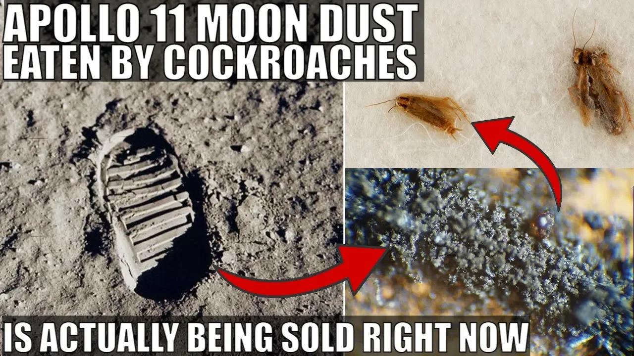 Apollo 11 Moon Dust Eaten By Cockroaches Is Being Sold At an Auction ...