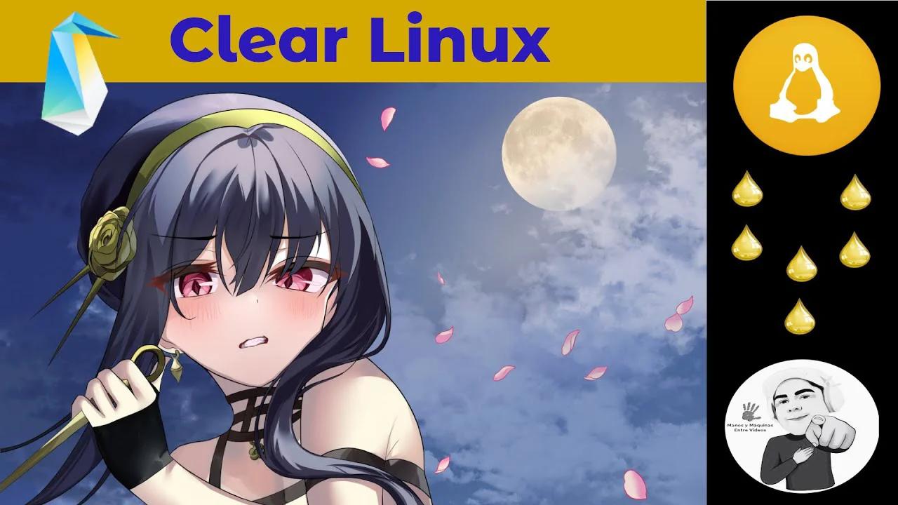 Clear Linux 42100 Review en 2024, la RR de Intel optimizada para seguridad y con su paqueteria