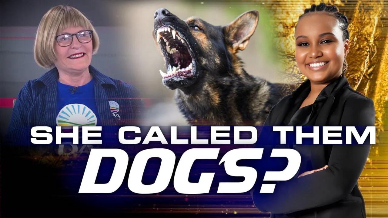 Did Hellen Zille Call MK And EFF Politician In KZN ''Dogs''?