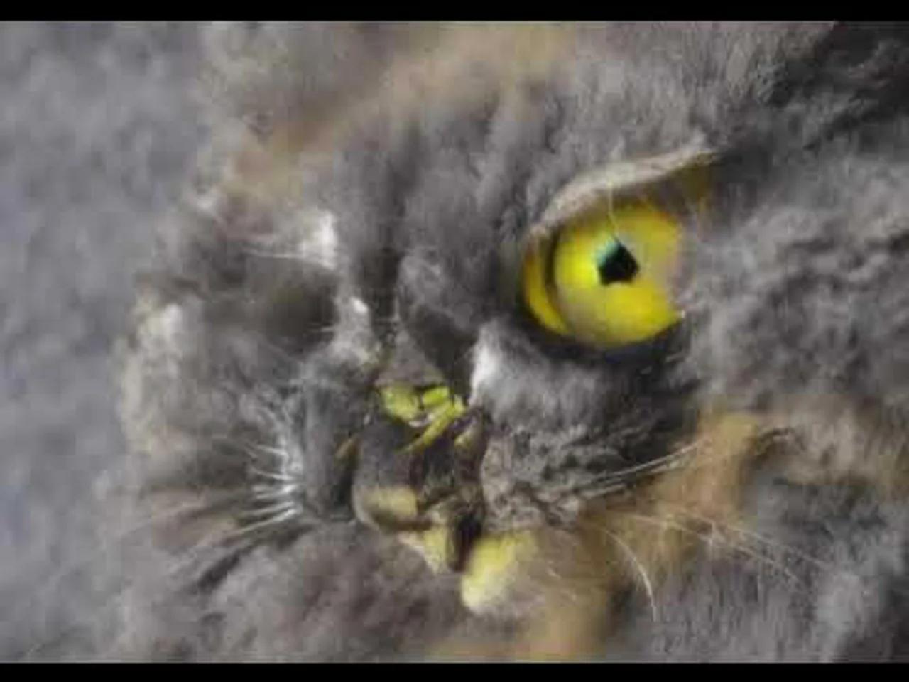 📸🐾 "Feline Deathclaw" - A Hyper-Realistic Nightmare 🌲😼 | Killer Cat ...