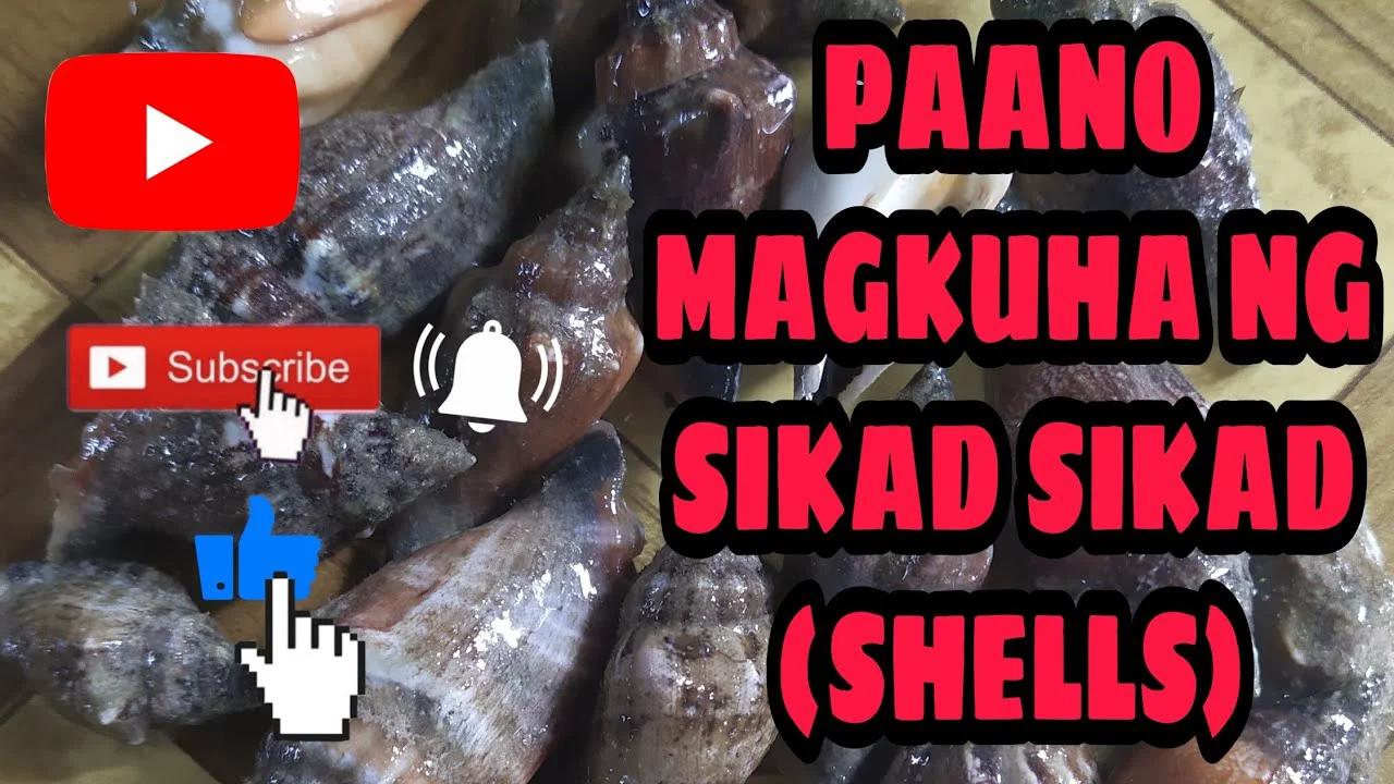 PAANO MAGKUHA NG SIKAD SIKAD (SHELLS)