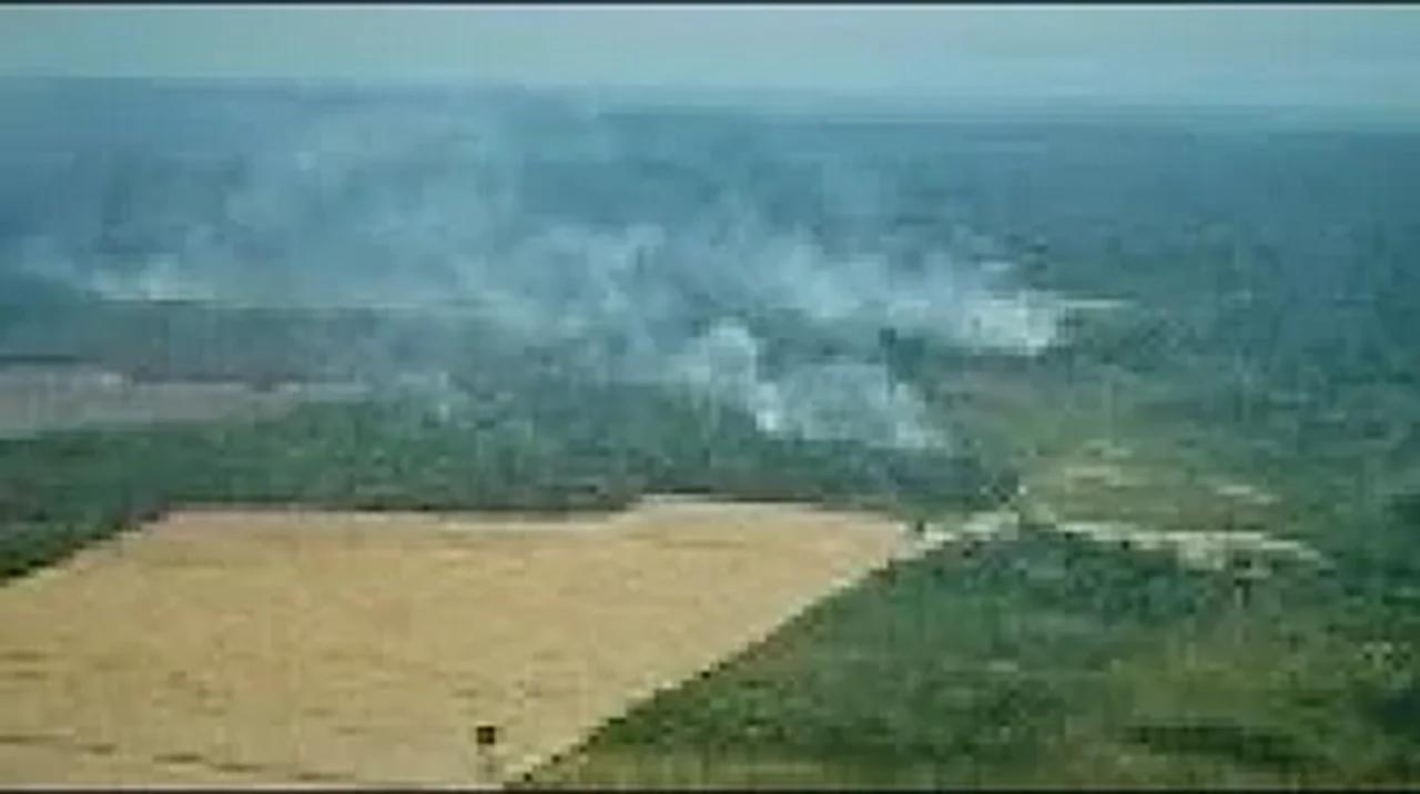 Tracking Amazon Deforestation