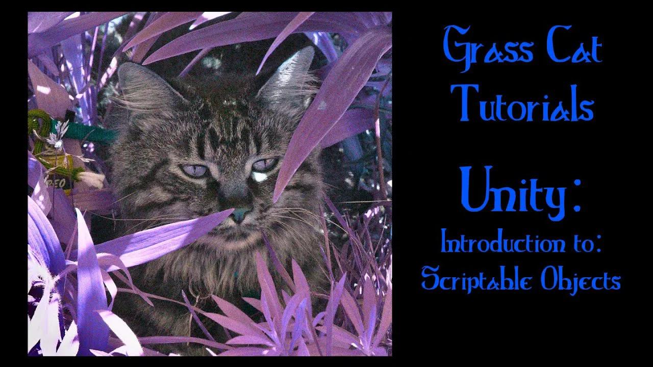 Unity 20202 Introduction To Scriptable Objects 