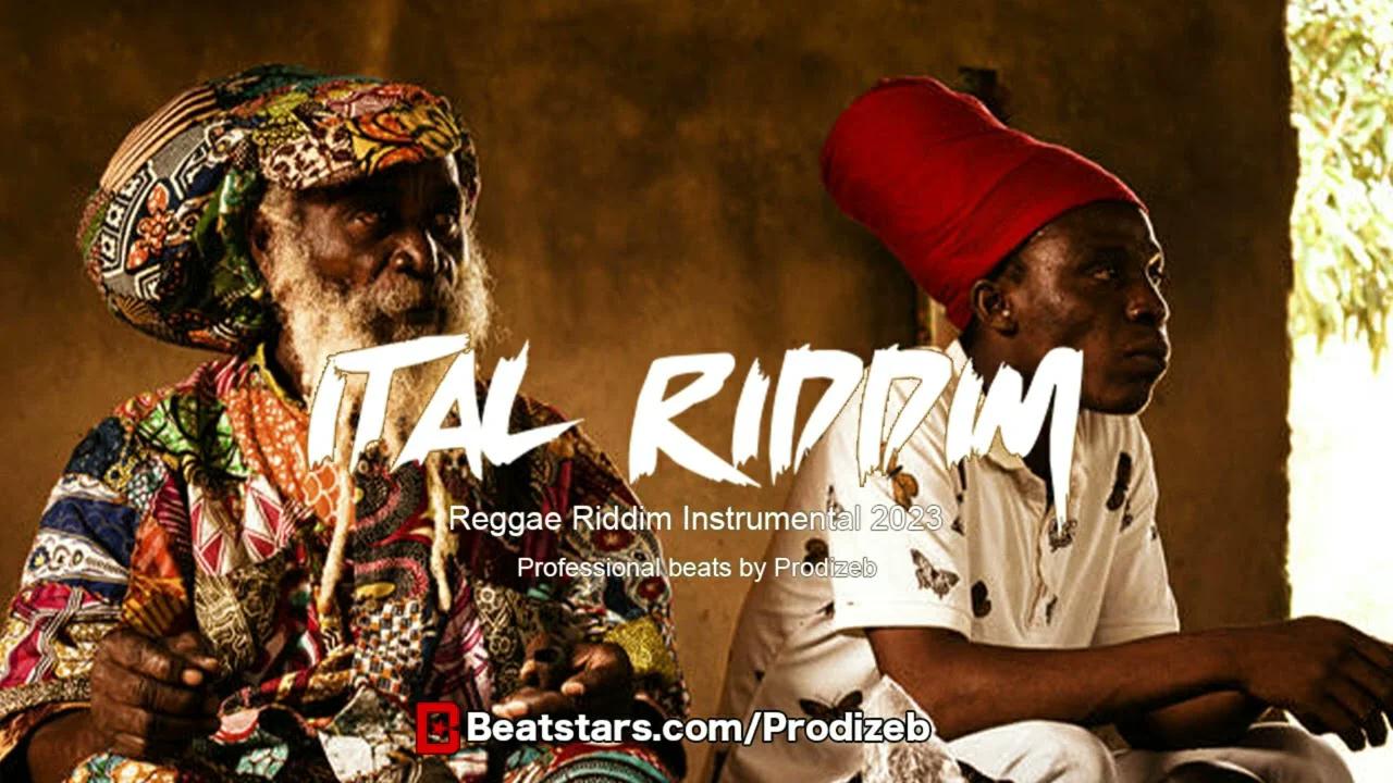 Roots Reggae Instrumental Riddim 2023 X Chronixx X Don Carlos Type Beat