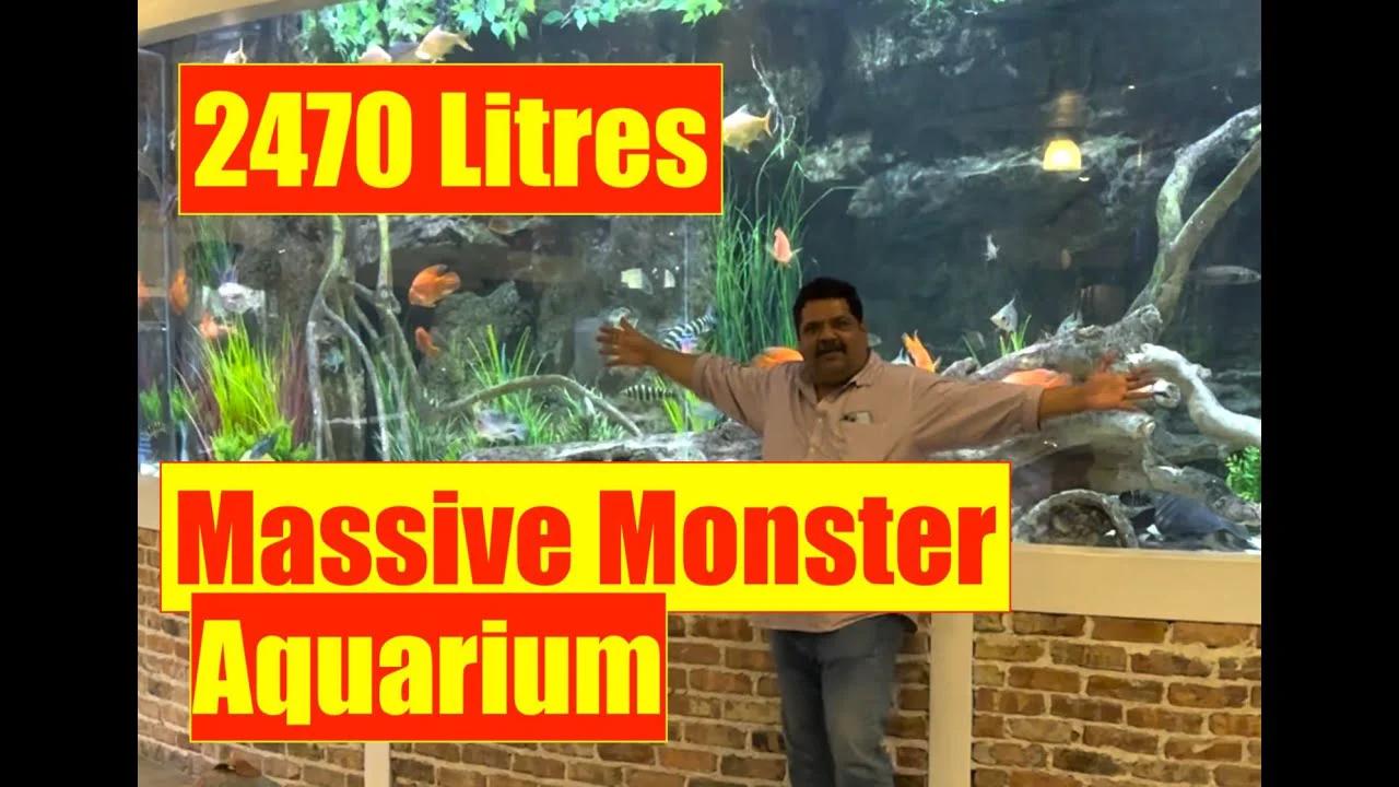 2470 Litre Monster Fish Aquarium | Fish Gallery | Aquarium Fish Shop ...
