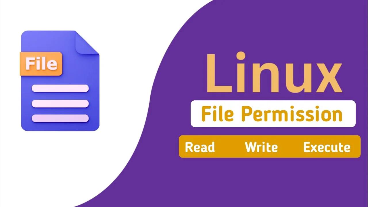 Understand Linux File Permission | How to change file permissions? How ...