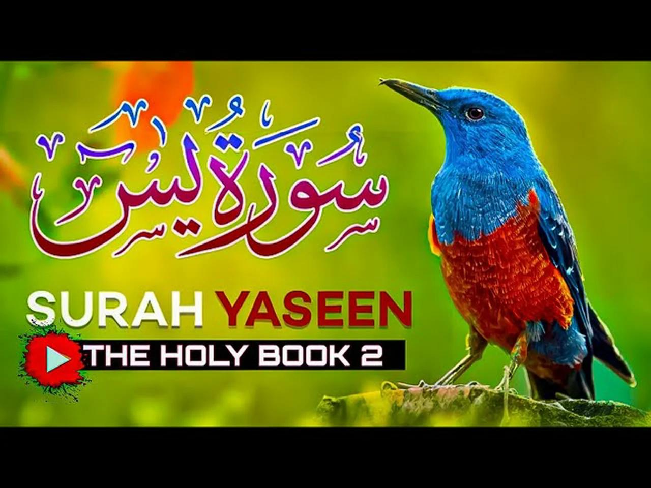 SURAH YASEEN ||😍tilawat quran the holy book 2 sura yasin full reception ...